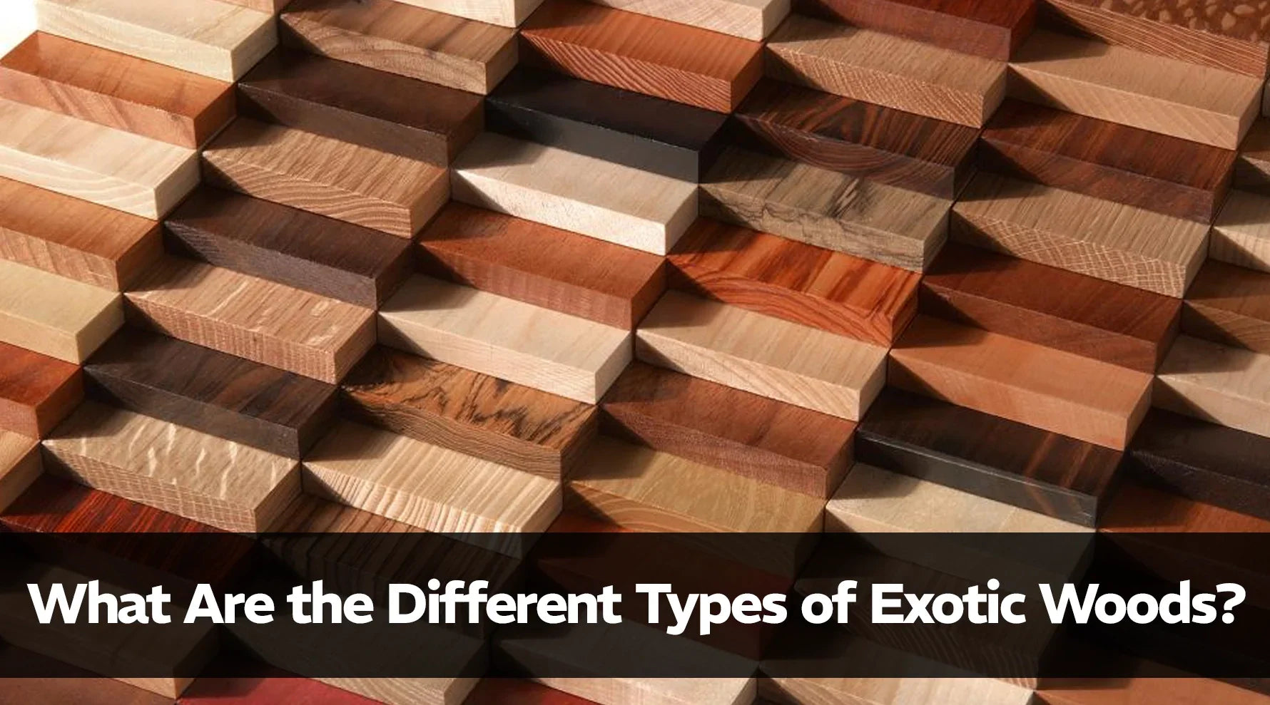 wood types list