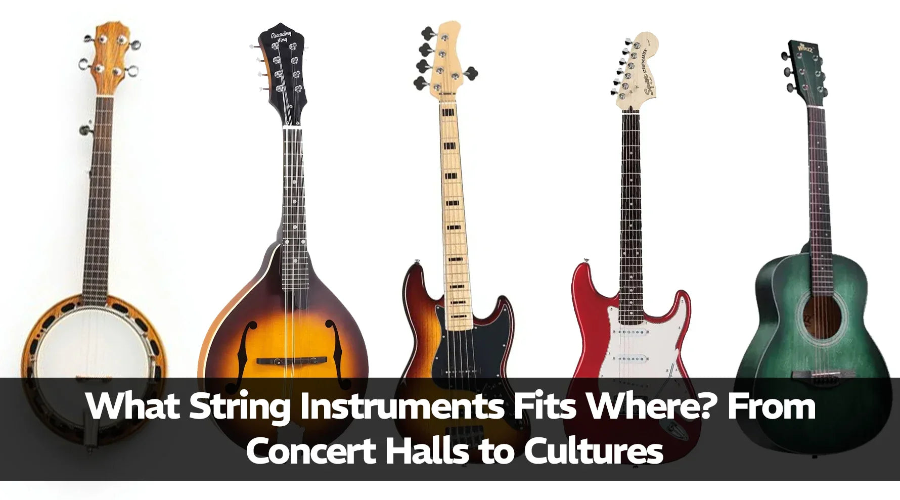 What String Instruments Fits Where? – Exotic Wood Zone