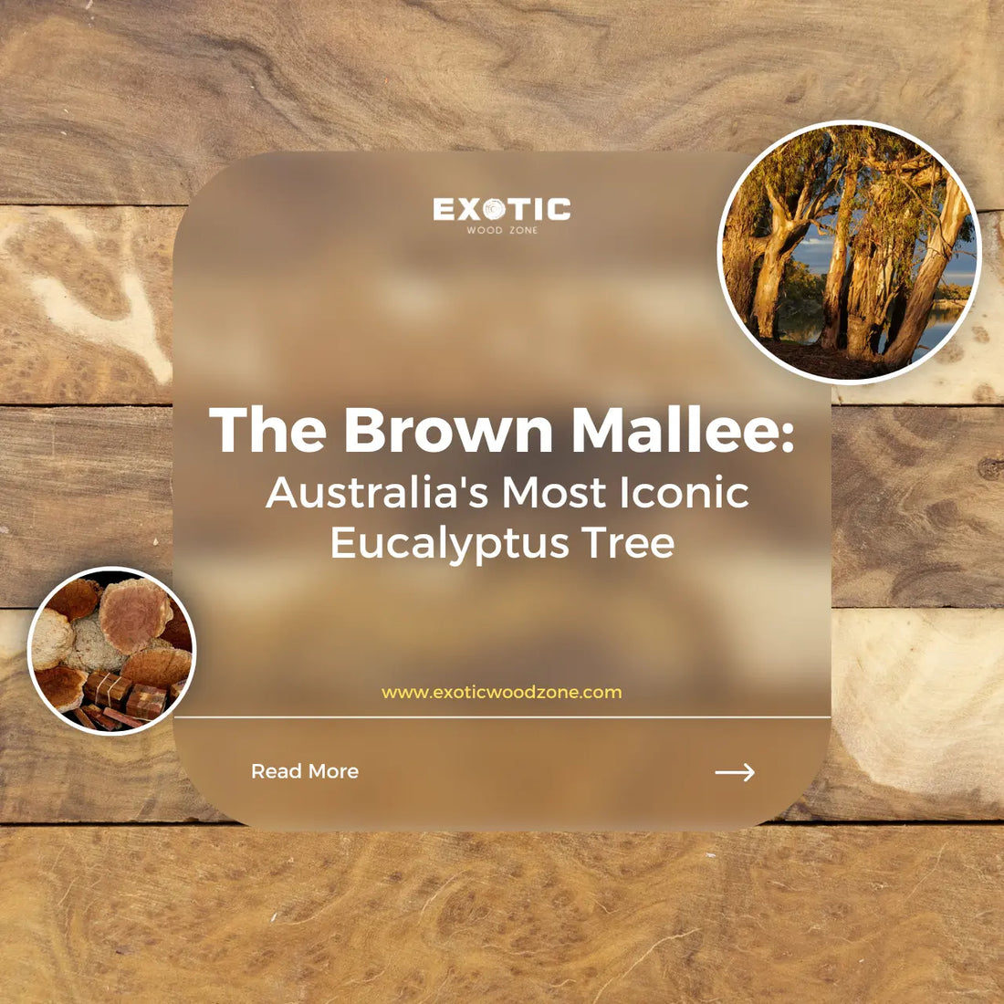 Introduction to wood species Brown Mallee – Exotic Wood Zone