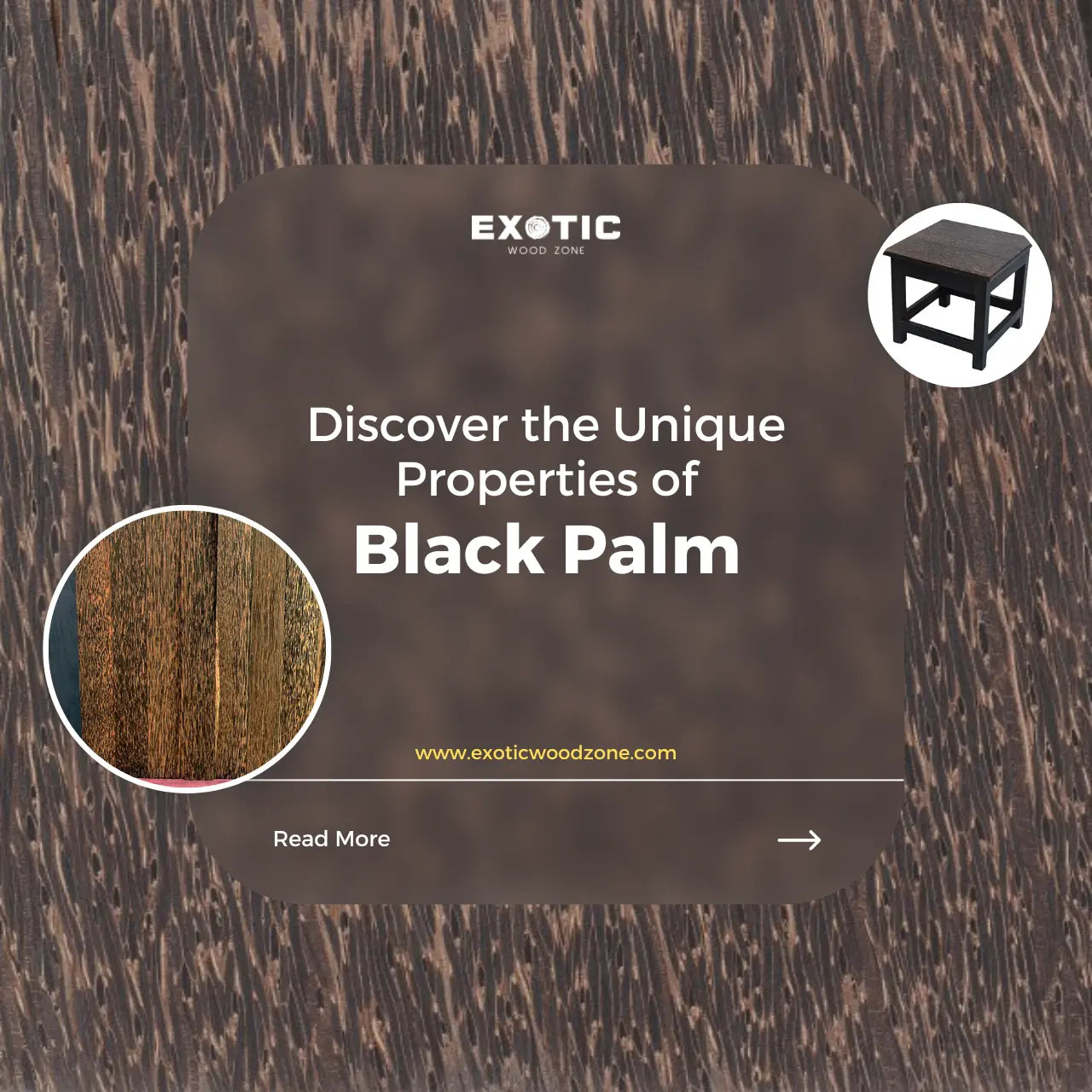 Introducción a las especies de madera Palma Negra - Zona de Maderas ...