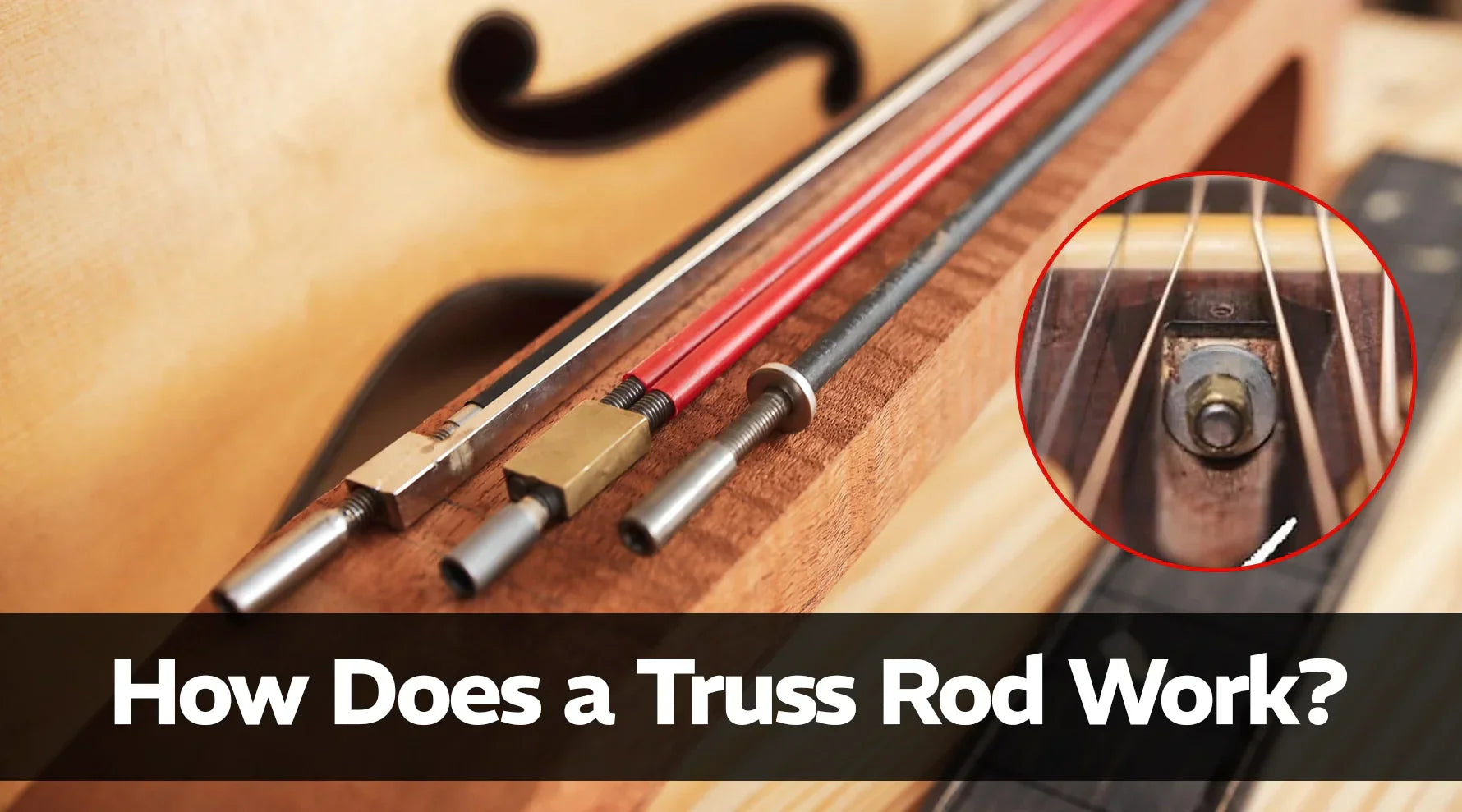 How Does a Truss Rod Work? – Exotic Wood Zone