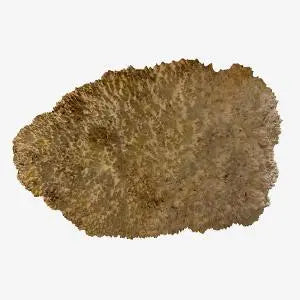 Exotic Tree Burls | Burl Wood for Sale – Exotic Wood Zone