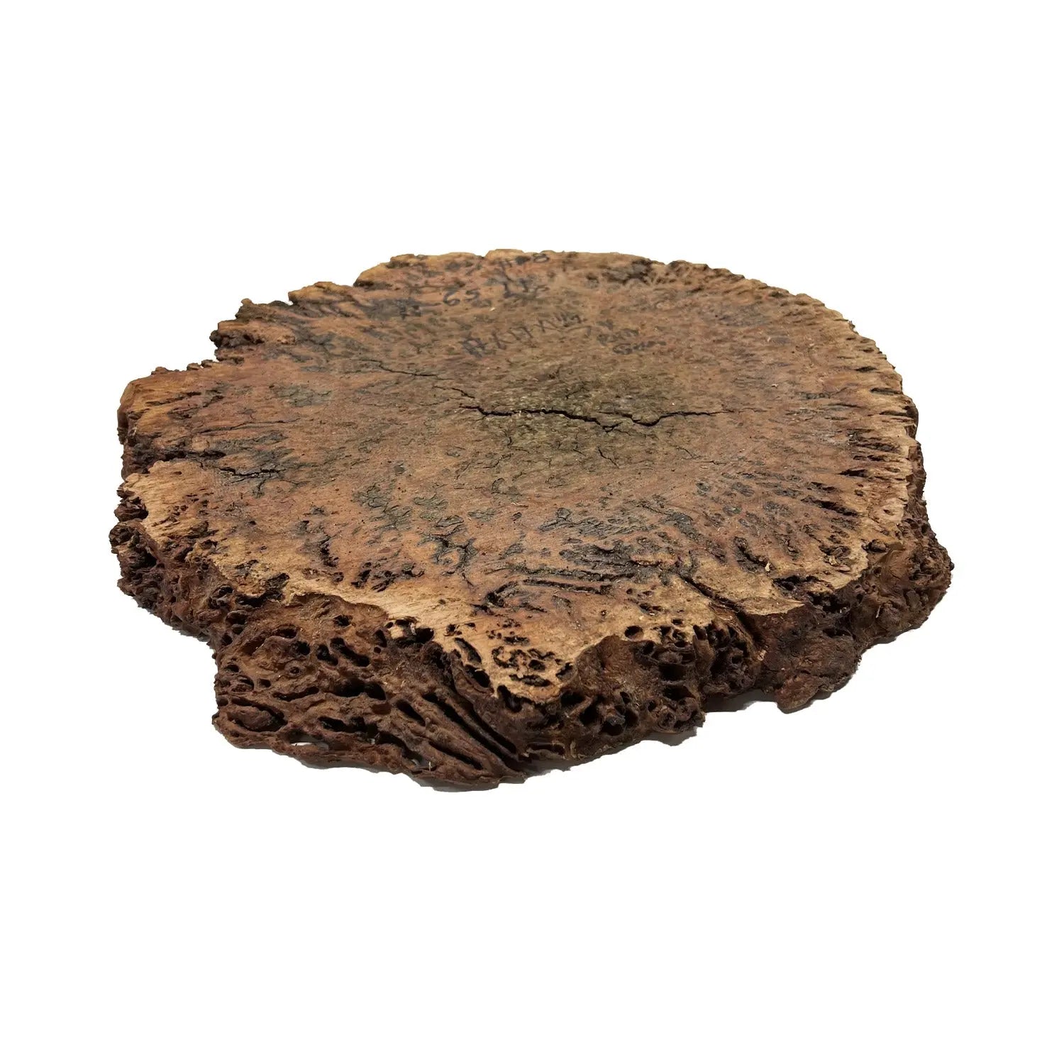 Red gum burl slab and cookies for sale online – Exotic Wood Zone