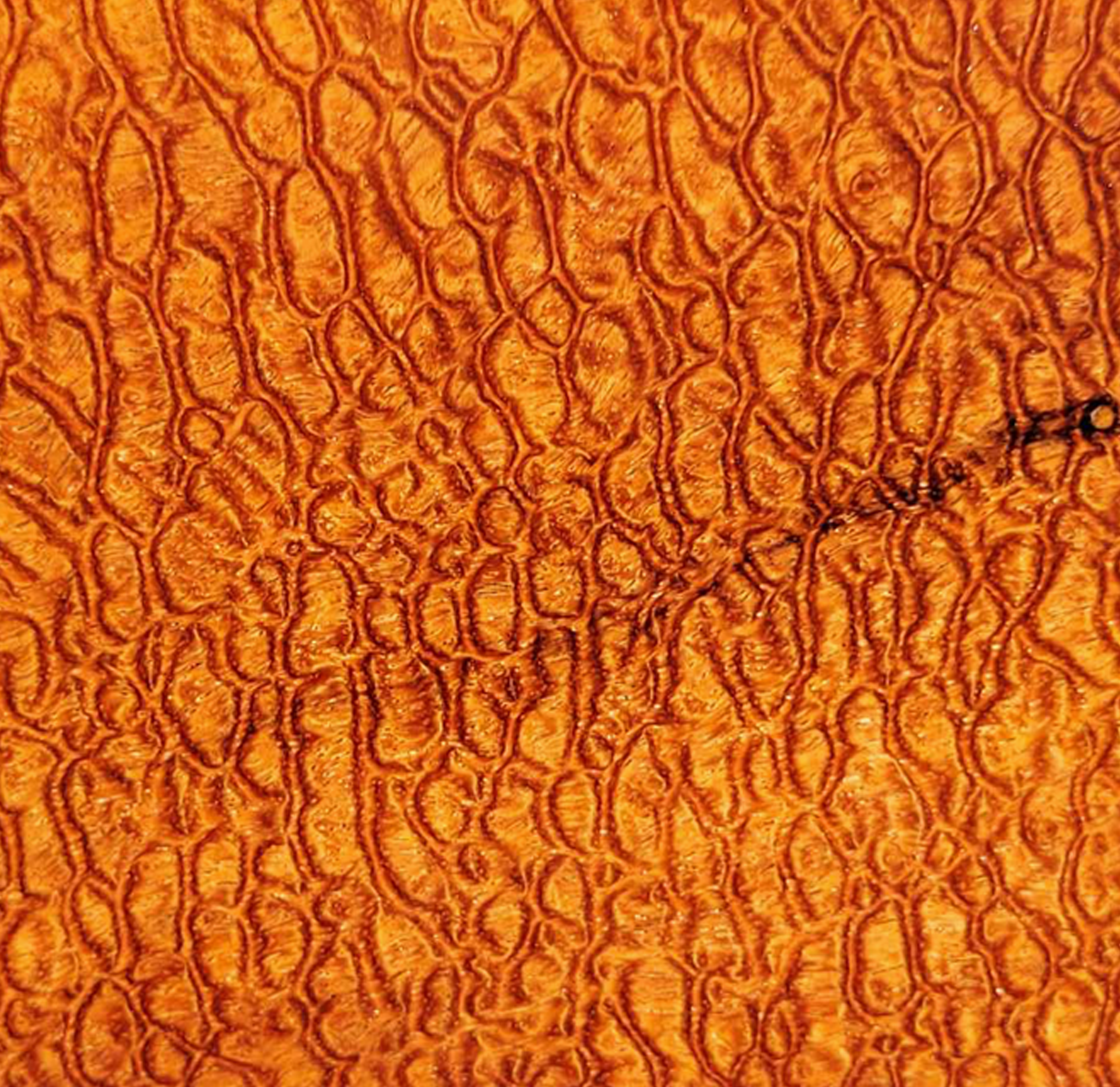 Quilted Grain Wood | Figured Exotic Wood for Sale USA – Exotic Wood Zone