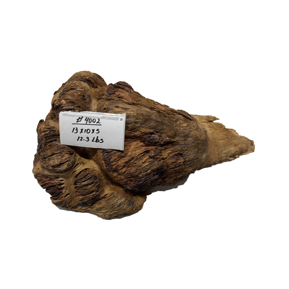 Red Gum Burl Cookies - 13" x 10" x 5" #4002 – Exotic Wood Zone