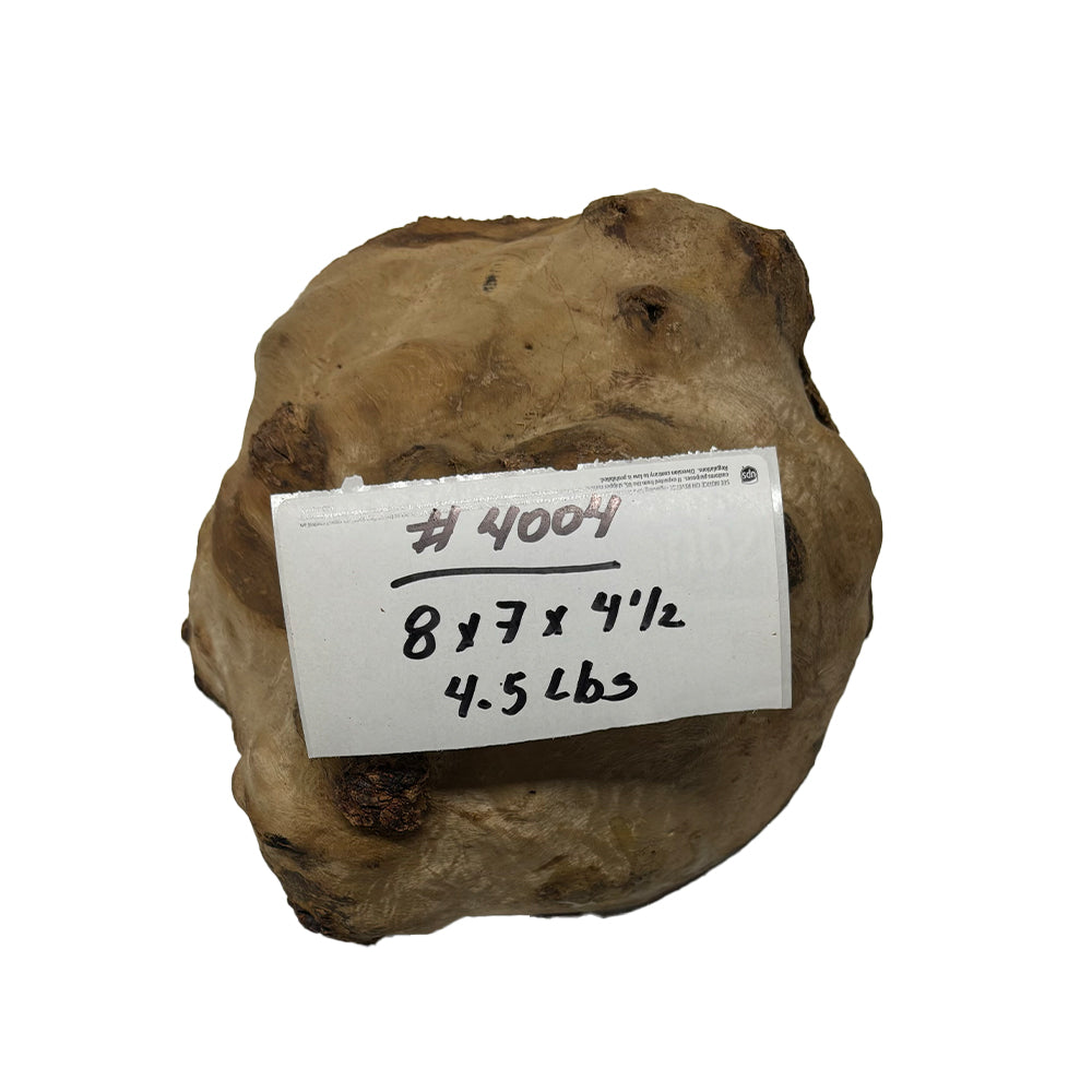 Red Gum Burl Cookies - 8" x 7" x 4-1/2" #4004 – Exotic Wood Zone