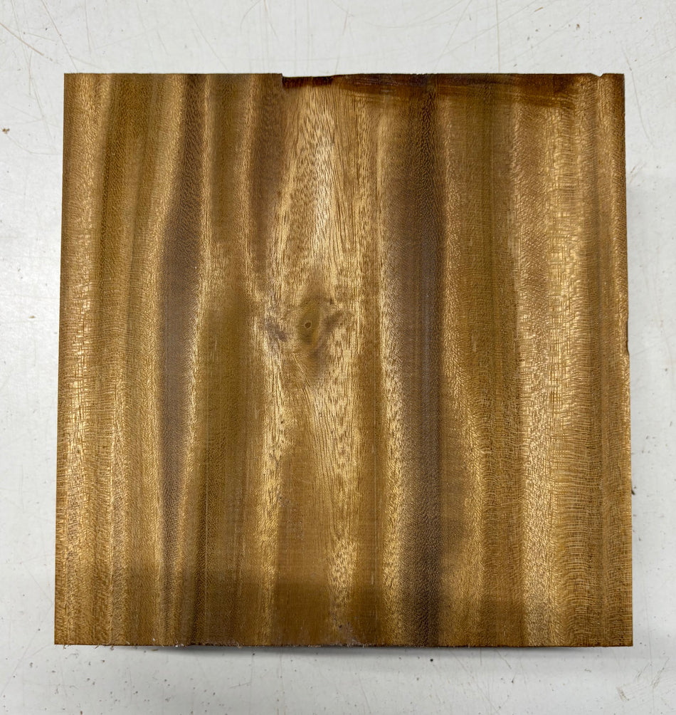 1 Piece, Wild Jack Bowl Blank 8"x8"x3"#6248 – Exotic Wood Zone