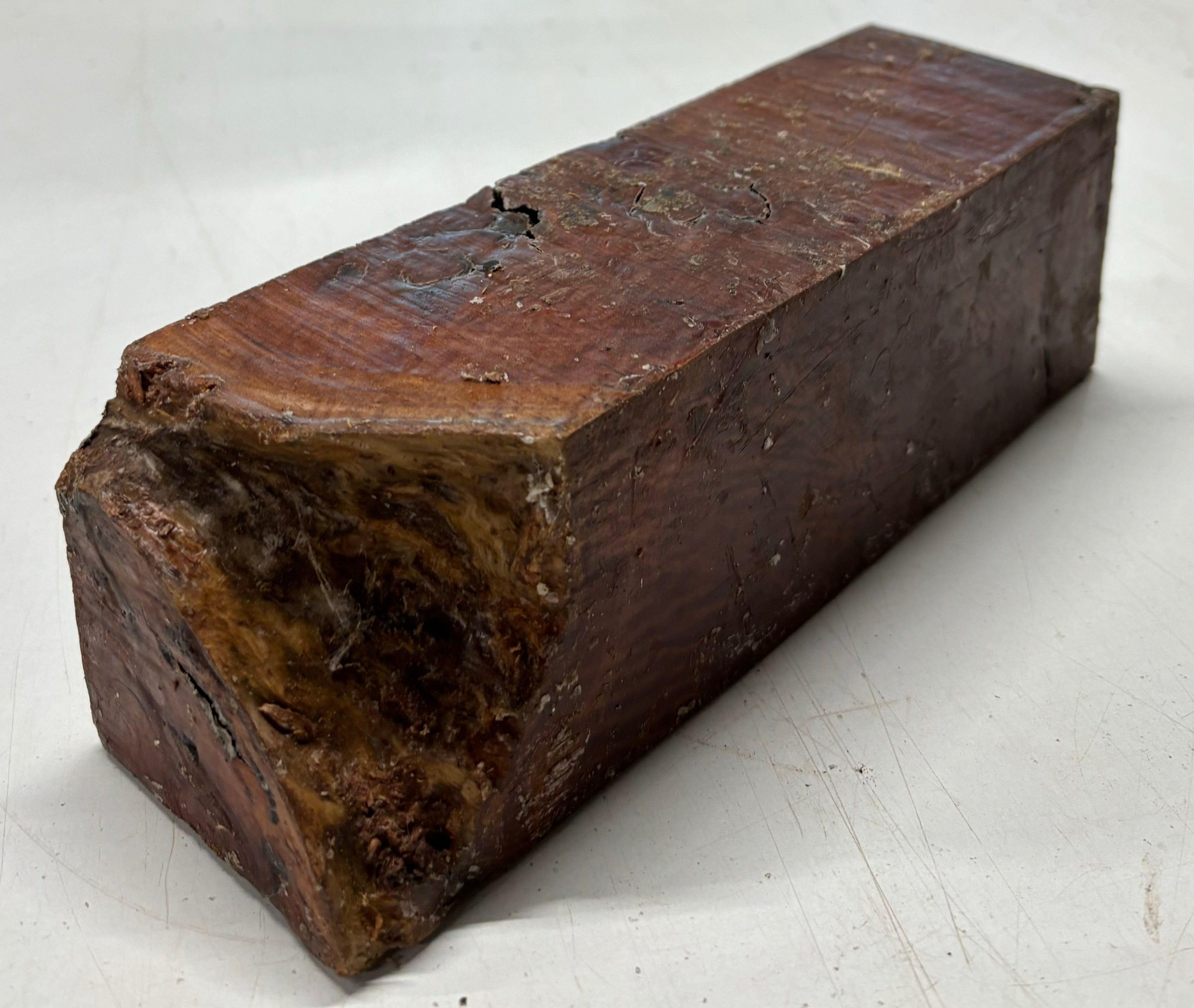 Molinillo de pimienta australiano Red Mallee en blanco 12" x 3" x 3 ...