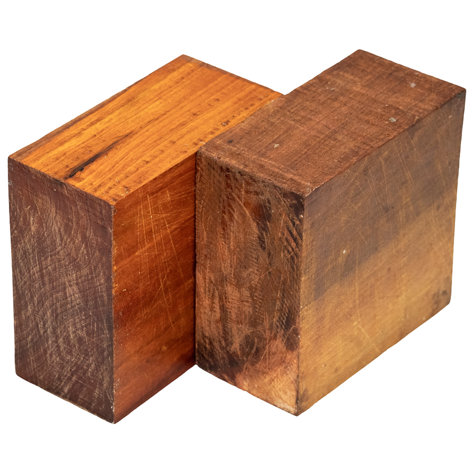 Paela/Chakte Viga Wood Bowl Blanks - Exotic Wood Zone – Exotic Wood Zone